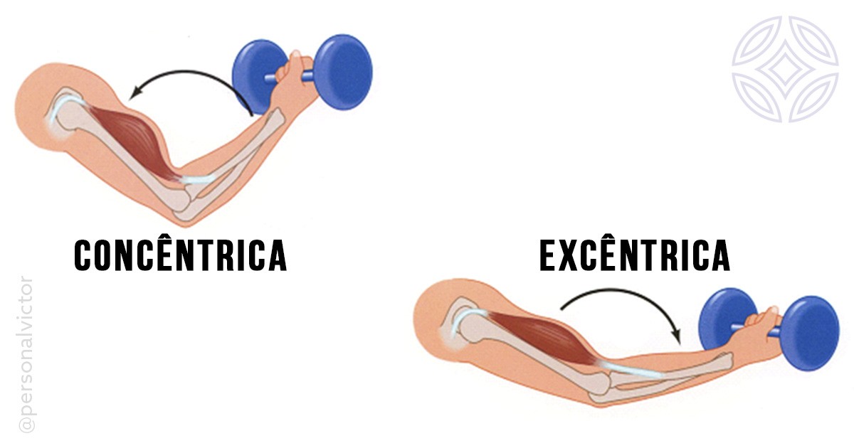 A importância das fases Concêntrica e Excêntrica - Personal Victor